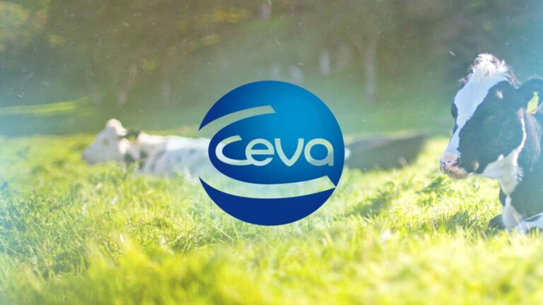 Project - CEVA Velactis - Imascono | Development of interactive ...